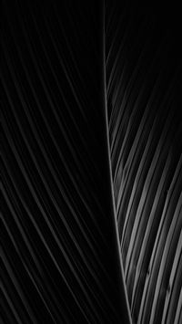 Latest iPhone Wallpapers Free HD - iLikeWallpaper